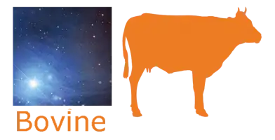 Shipping of Biological Samples - Eve Technologies